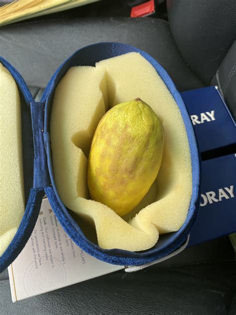 Joy Sukkos Proud Jewish Cbdchabad Judaism Education Inspiration Chabad Networking