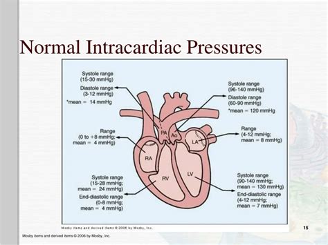 Ppt Cardiovascular And Lymphatic Systems Powerpoint Presentation