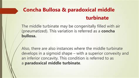 Surgical Anatomy Of Osteomeatal Complex Pptx