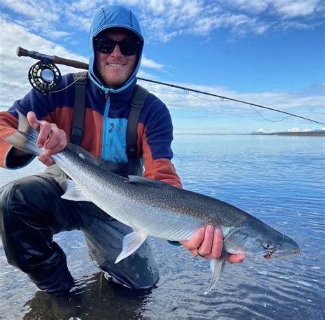 Low Levels Of ‘forever Chemicals Detected In Arctic Alaska Fish