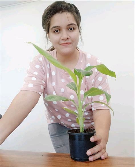 Avanti K On Linkedin Were All Feeling A Little Extra Green This Month💚🌨🌱