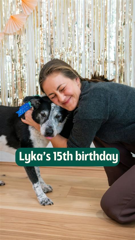 Lyka Pet Food (@lykapetfood) • Instagram photos and videos