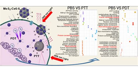 Antibacterial Mos2 Ce6 Ionic Liquid Nanoplatform Against Photothermal