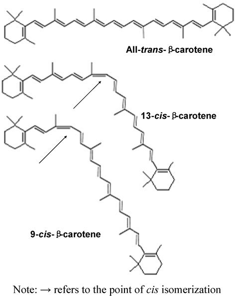 Beta Carotene Structure At Thelma Guerrero Blog