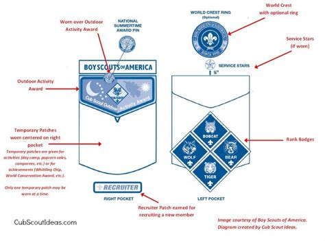 Lion Strip Placement Rbsa