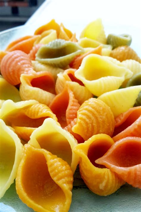Conchiglie Rigate Pasta Inspirada En Conchas De Mar Tipos De Pasta