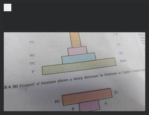 24 B Pyramid Of Biomass Shows A Sharp Decrease In Biomass At Higher Tr