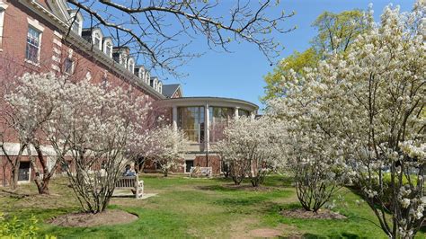 Harvard Fights Single Sex Social Clubs Sororities Fraternities Teen Vogue