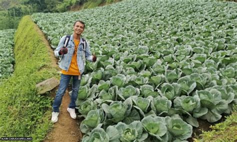 Picture Perfect Na Repolyo Bumulaga Sa Iloilo
