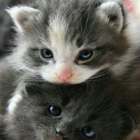 Christina Bergbower Youtube