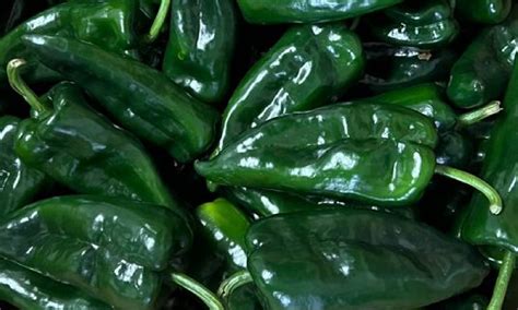 Produce Crj Produce