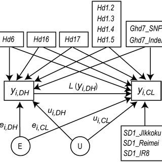 A Graphical Representation Of The Nonlinear Structural Equation U And Download Scientific