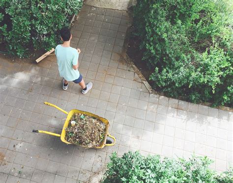 השכמה לנוי נווה צאלים