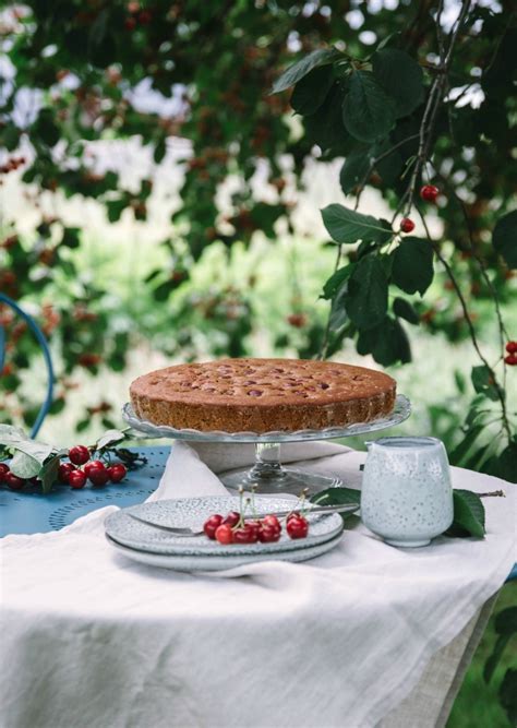 ViŠŇovÁ Bublanina Blogcestnik Cz