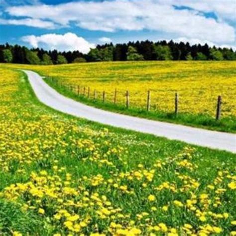 林仙儿、林诗音、孙小红，爱上这三个女人会怎样？阿飞爱情故事