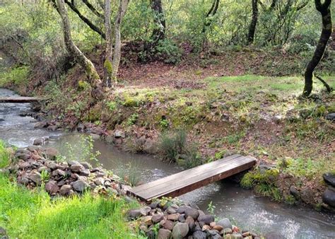 13566 Helltown Parcel 2 Chico Ca 95928 Mls Sn26052517 Redfin
