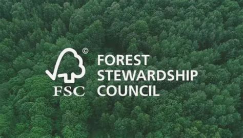 Fsc Certification Faqs Everything You Need To Know Gentle Packing