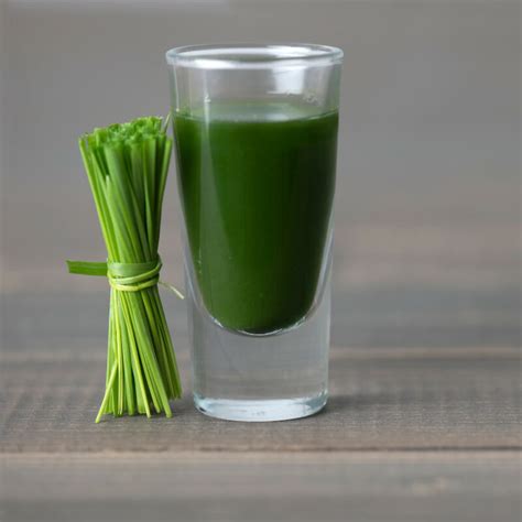 What Does Wheatgrass Taste Like The Rusty Spoon