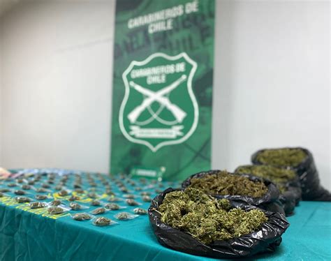 Detenido Por Mantener Más De 2 Kilos De Marihuana Y Una Orden Vigente