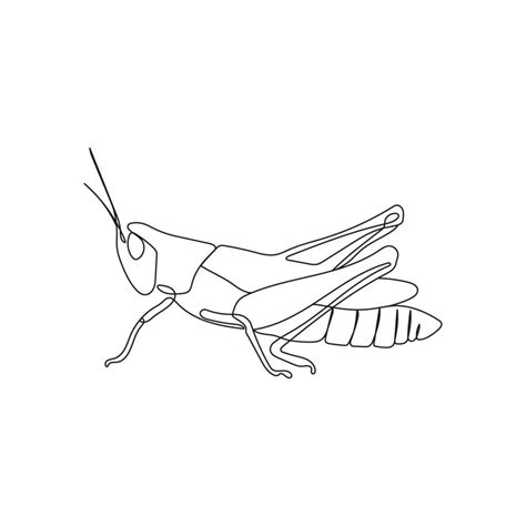 Grasshopper Insect In One Line Drawing Style Minimal Hand Drawn Vector Illustration 22363794 Grasshopper Insect In One Line Drawing Style Minimal Hand Drawn Vector Illustration 22363794