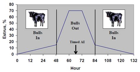 Utilizing Natural Service With Estrous Synchronization In Conjunction With Timed Artificial