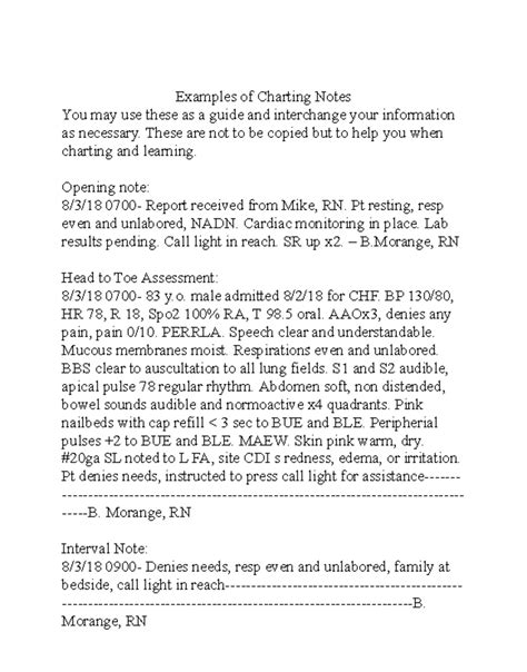 Sample Charting Nurses Notes Assessment Nursing Note Templates 9