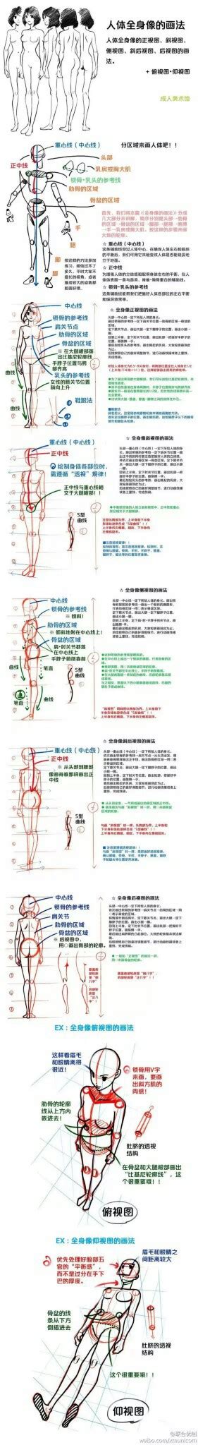 Tutorial De Manga Bocetos Del Cuerpo Humano Anatomía Femenina
