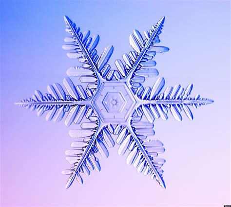 Snow And Snowflakes Icicles Praise The Lord Winter Wonders