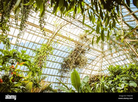Tropical Greenhouse