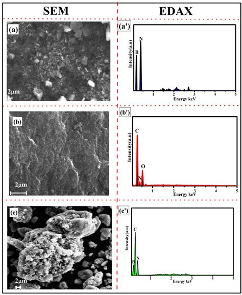 Sem Images And Edax Spectra Of A And A Bn B And B Pani And C And