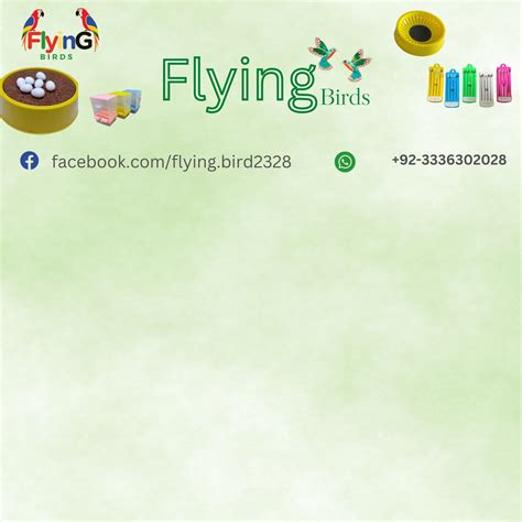 Fly Bird Software