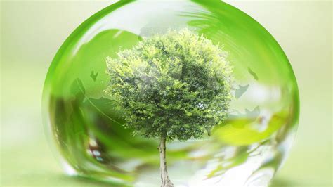 Energy Ecosystem Avl