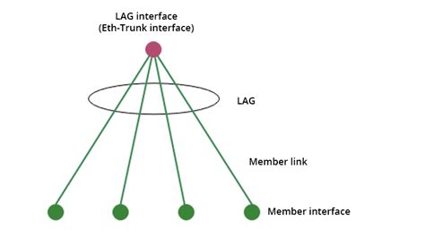 What Is Lacp Qsfptek Glossary