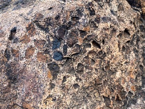 Iron Rich Tillite • Flinders Ranges Field Naturalists