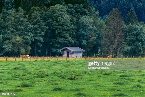 Blockhouse Photos And Premium High Res Pictures Getty Images