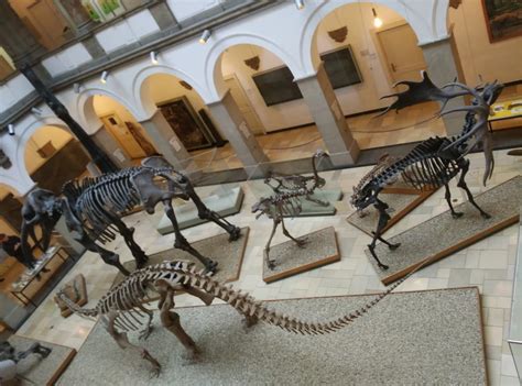 All About Plateosaurus