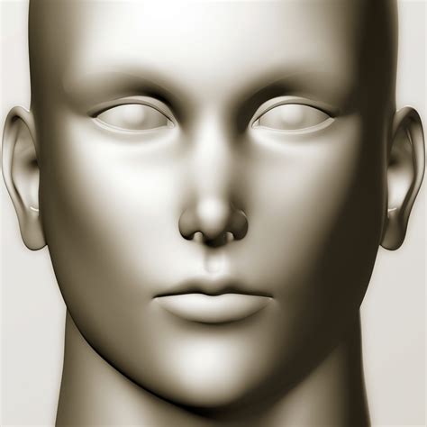 Mr Face Morphs Lh2