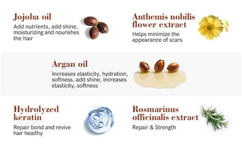 2 Pack Natural Organic Sulfate Free Moroccan Argan Oil