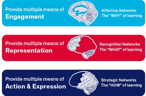 Universal Design For Learning Udl Center For The Advancement Of Teaching Excellence