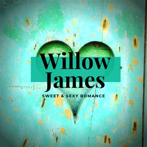 Sweet And Sexy Romance By Willow James