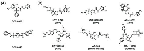 Small Molecules Targeting The Conversion Of Hbv Rcdna To Cccdna