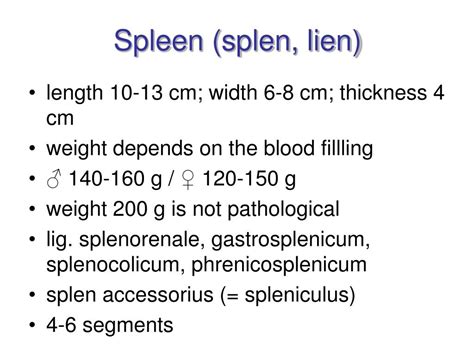 Ppt Spleen And Thymus Powerpoint Presentation Free Download Id 3875884