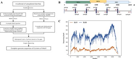 Overview Of Rapid Pathogen Detection And Genome Sequencing Process A