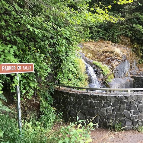 Marys Peak Trail All You Should Know Before Going 2026 With Reviews