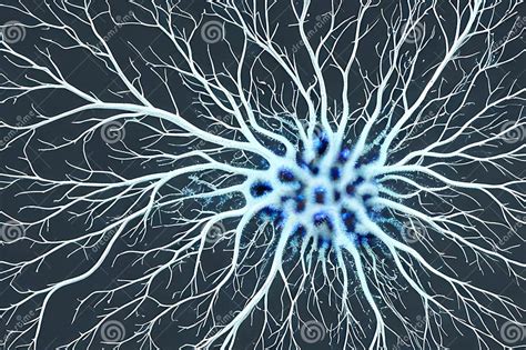 Un Grupo De Neuronas Flotantes Y Ramificaciones Con Axones Y Dendritas