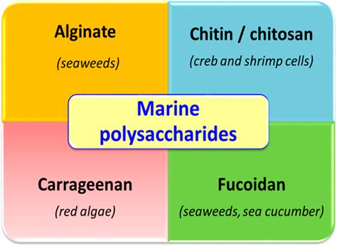 Polysaccharides
