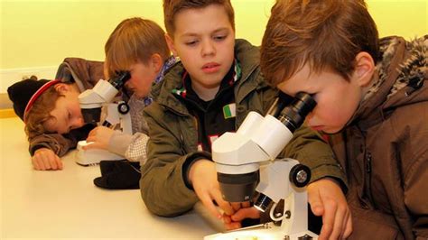 Arts Integration Resources