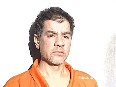 Collins Daniel Mark 12282024 Lucas County Mugshots Zone