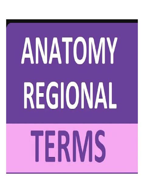 Anotomy Regional Terms Pdf