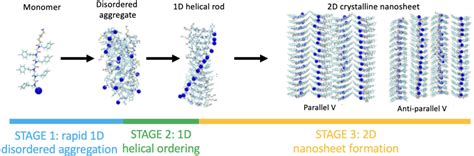 Self Assembly Of Molecules And Colloids Ferguson Lab